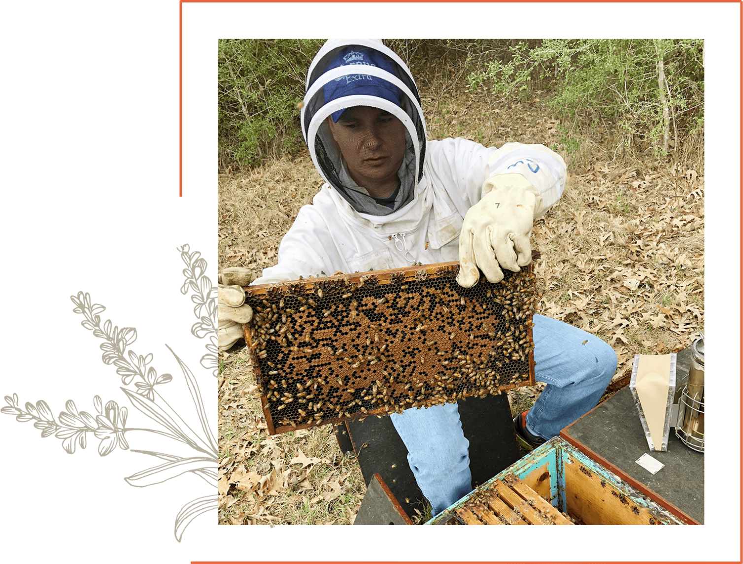 Beekeeper Spotlight | Some Honey